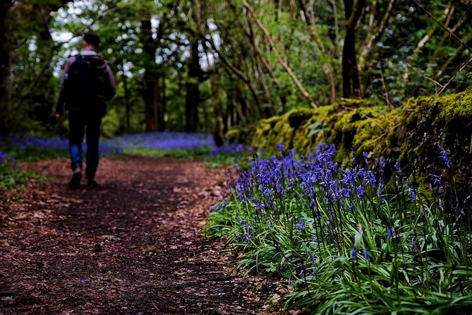 Central Scotland Driving Tour - Stirlingshire (Private) - How to Book and What You Need to Know About Cancellations