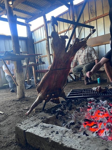 Cerro Castillo: Patagonia Mountain Trekking to the Lagoon - Final Thoughts: Who Should Sign Up?