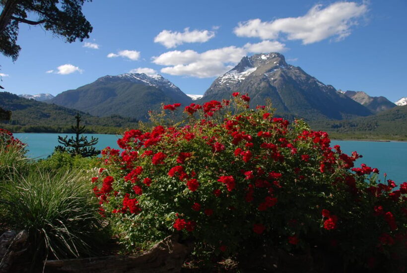 Cerro Tronador - The Sum Up: The Bottom Line