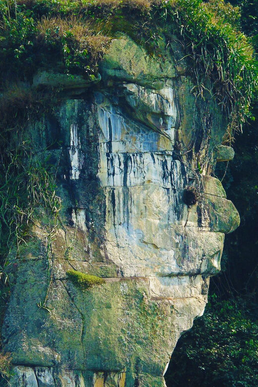 Cerro Tusa Tour: Hike the tallest natural pyramid-Roundtrip - An In-Depth Look at the Cerro Tusa Tour