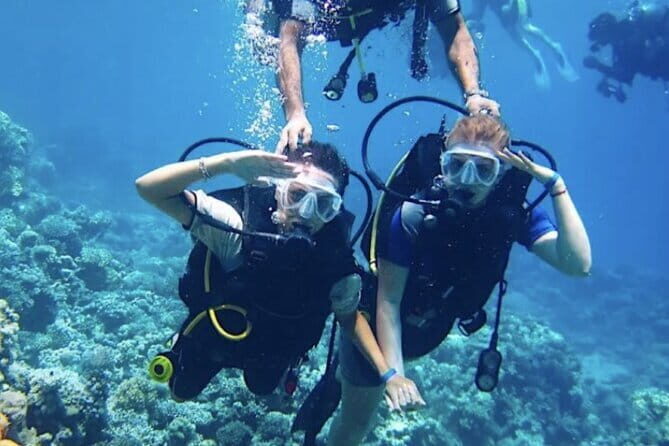 Certified and Beginner Scuba Diving from Pattaya - Why the Reviews Matter