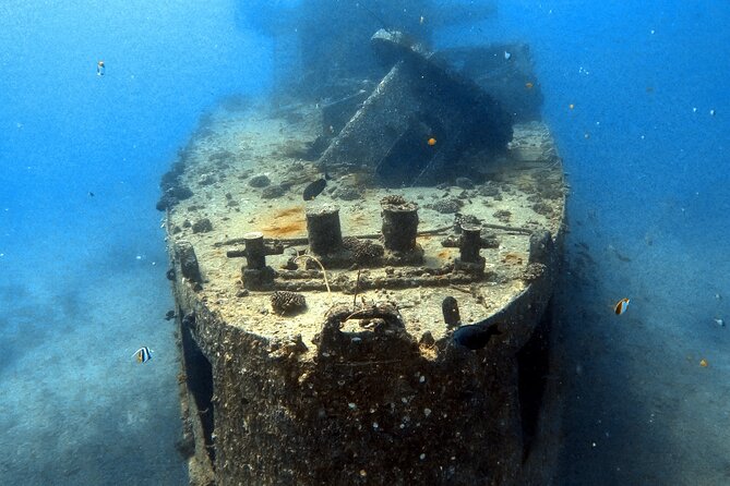 Certified Diver: 2-Tank Deep Wreck and Shallow Reef Dive Off Oahu - Who Should Consider This Tour?