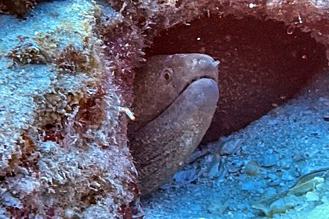 Certified Diver: 2-Tank Night Dive - Why This Tour Is Praised Highly