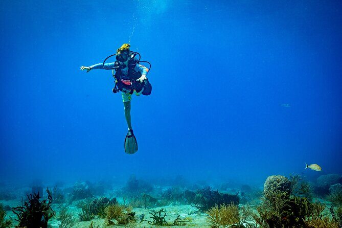 Certified Diving 2 Tanks in Cozumel - Who Will Love This Tour?