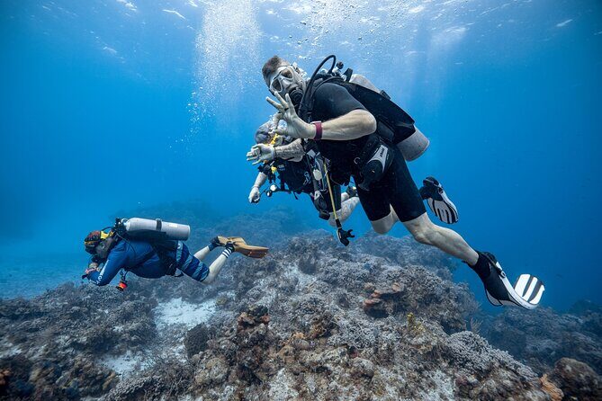 Certified Diving 2 Tanks in Cozumel - FAQ