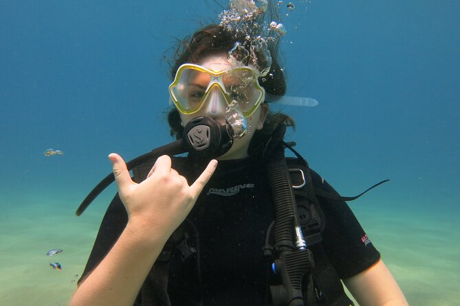 Certified Guided Shore Dive in Lahaina - Pricing and Booking Information