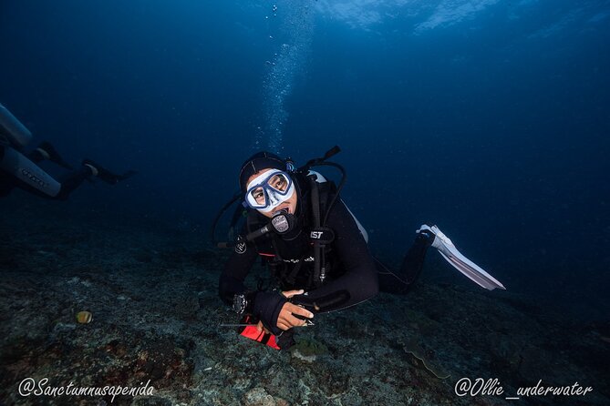 Certified Scuba Dive with Manta Rays (Open Water Diver minimum) - Authenticity and Quality of Service