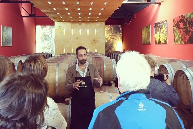 Cesani Wine Experience - Traveler Reviews and Feedback