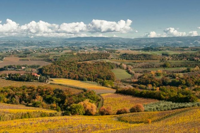 Cesani Wine Experience - The Cesani Winery Experience