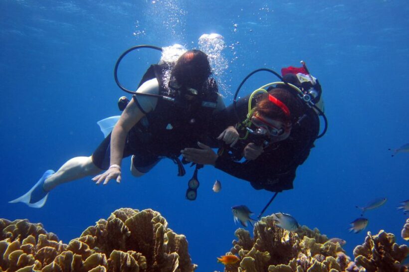 Cesme: Scuba Diving Experience - FAQs About the Cesme Scuba Diving Experience