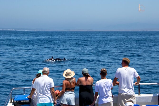 Cetacean Watching Tour - About Your Stay
