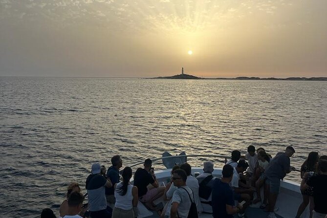 Cetacean Watching Tour - What to Expect From the Tour