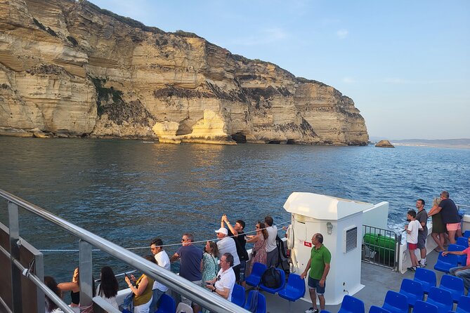 Cetacean Watching Tour - Important Guidelines for Participants