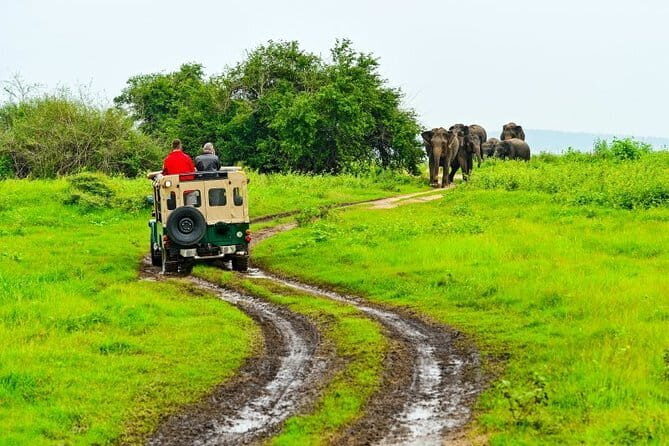 Cey Tours lets explore amazing pearl srilanka with mr.cey - The Experience in Practice