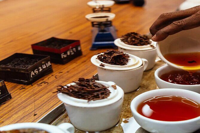 Ceylon Tea Tasting from Nuwara Eliya - Key Points