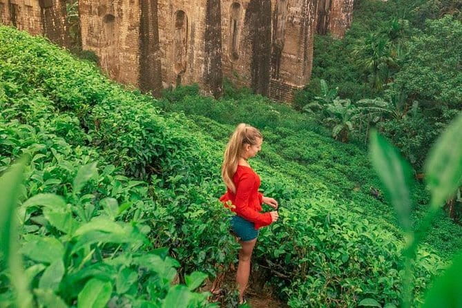 Ceylon Up Country TEA, SIGIRIYA & Ella with Train Ride[B&B Basis] - Frequently Asked Questions