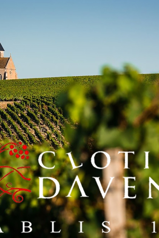 Chablis Clotilde Davenne Visit and Tasting in English - Customer Feedback and Ratings