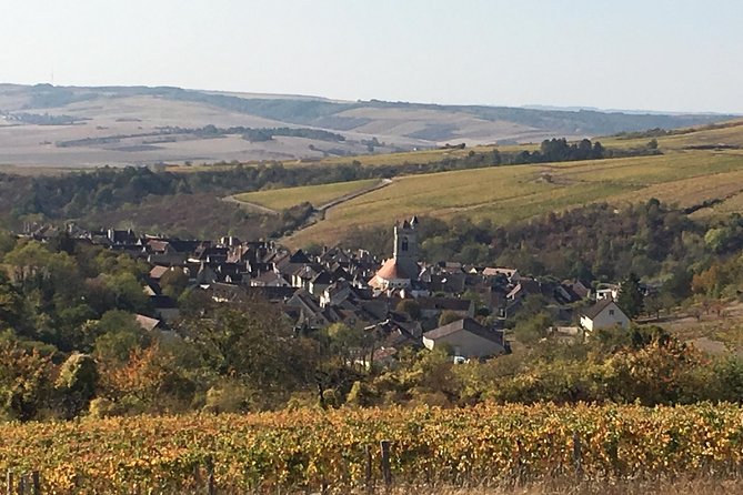 Chablis & Northern Burgundy Wine Tour - Who is This Tour Best For?