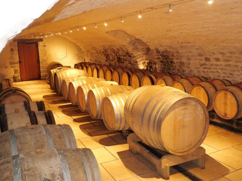 Chablis: Visit and Tasting Family Winery - Winery Tour Details