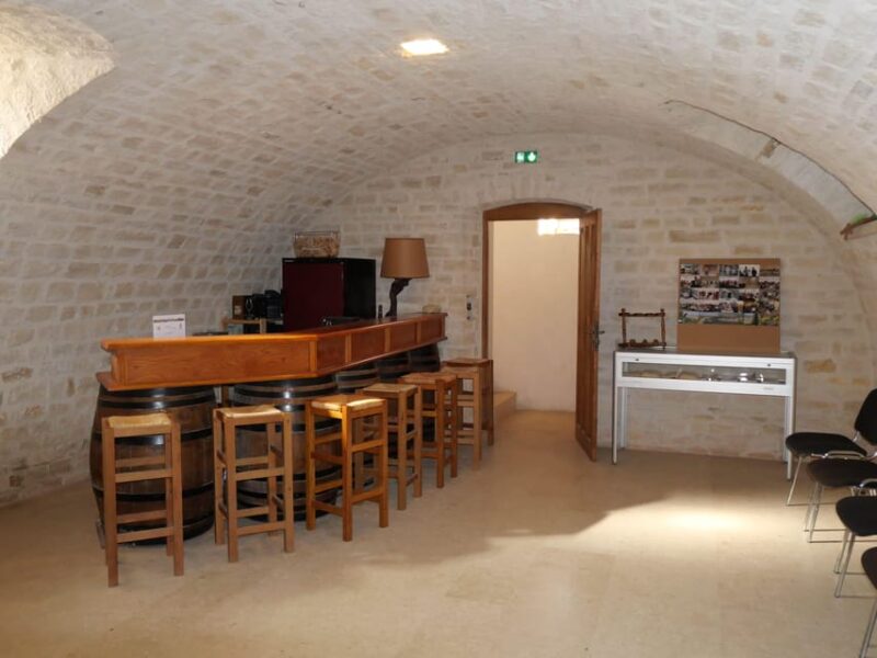 Chablis: Visit and Tasting Family Winery - Exploring the Chablis Vineyards