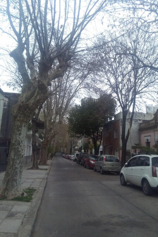 CHACARITA CEMETERY + PARQUE CHAS (LABYRINTH) - What Makes This Tour Stand Out?