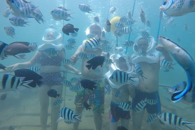 Cham Island Adventure: Snorkeling, Sightseeing & Seafood Set Menu - FAQ