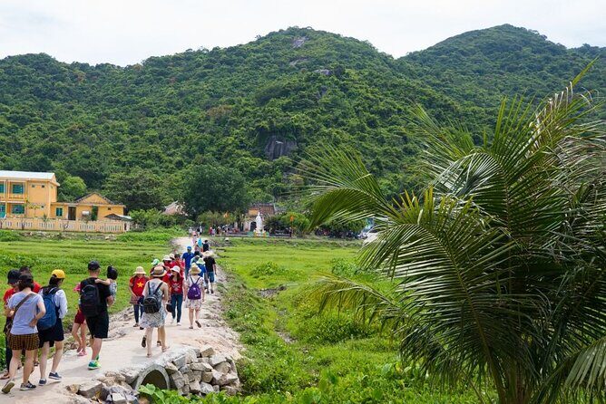 Cham Island Day Tour from Hoi An with Group tour - The Itinerary in Detail