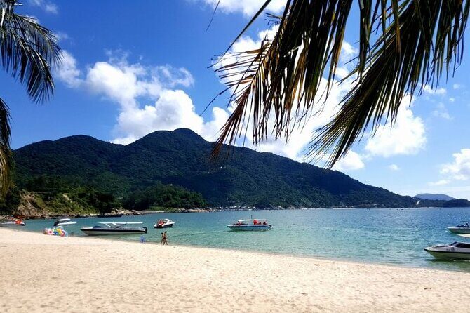 Cham Island Day Tour from Hoi An with Group tour - FAQs