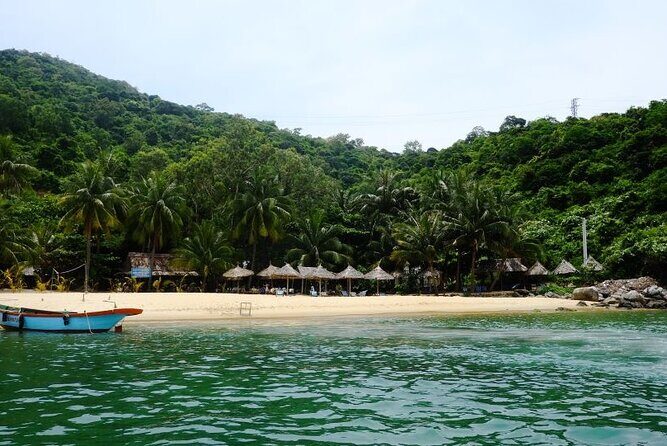 Cham Island Exploration Tour and Swimming with Local Guide - Authentic Experiences and Review Highlights