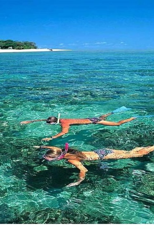 Cham Island on a speedboat snorkeling tour from Da Nang - Key Points