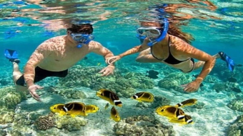 Cham Island on a speedboat snorkeling tour from DaNang/Hoian - Key Points