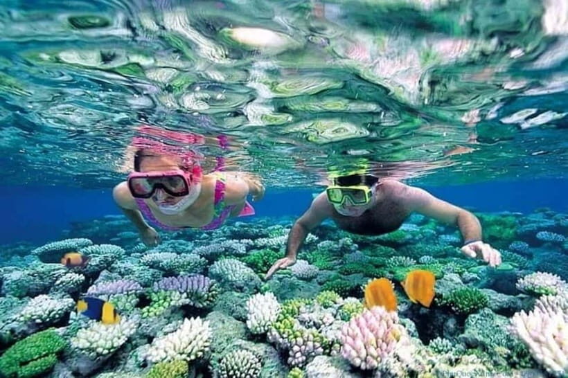Cham Island Sightseeing & Snorkeling Day Tour from Da Nang - Who Will Enjoy This Tour?