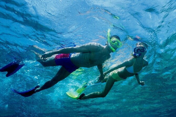 Cham Island Snorkeling and Sightseeing from Hoi An and Da Nang - Transportation, Group Size, and Practical Details