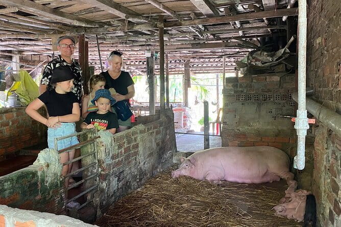 Cham Island Snorkeling Private Tour (Only Snorkeling & Beach) - FAQ