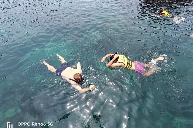 Cham island snorkeling tour - Pricing and Value