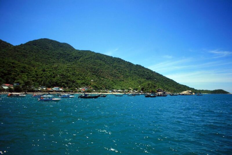 Cham Island Snorkeling tour by Speed Boat From Hoi An/DaNang - What to Expect from the Cham Island Snorkeling Tour