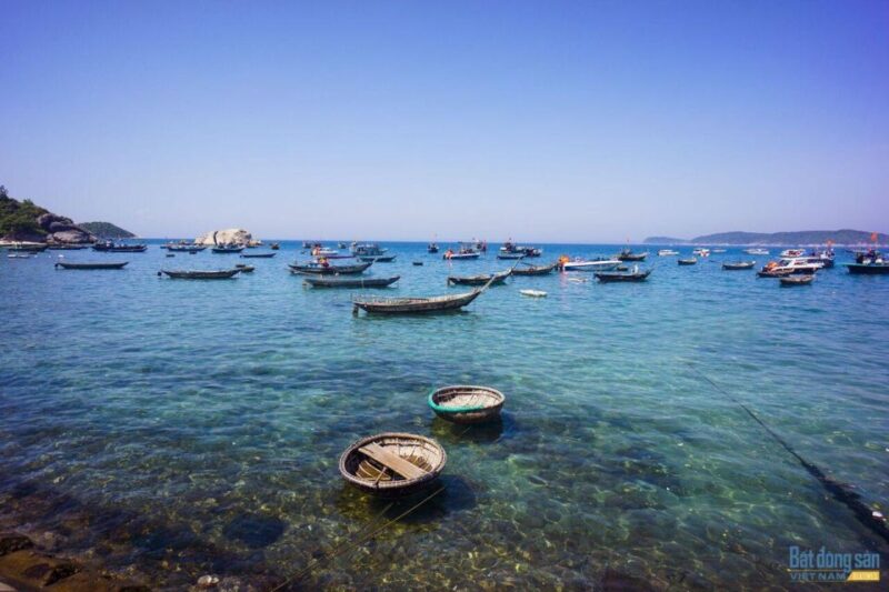 Cham Island Snorkeling Tour by Speed Boat from Hoi An/DaNang - The Value and Who This Tour Fits Best