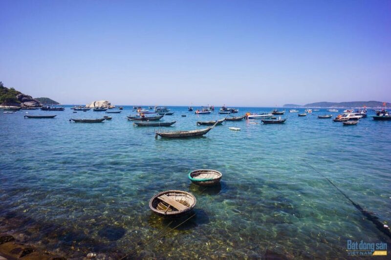 Cham Island: Snorkeling Tour by Speed Boat From HoiAn/DaNang - Who Will Love This Tour?