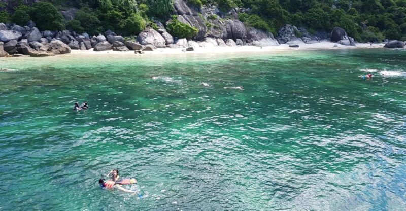 Cham Island: Snorkeling Tour - Discovering Marine Life and Snorkeling