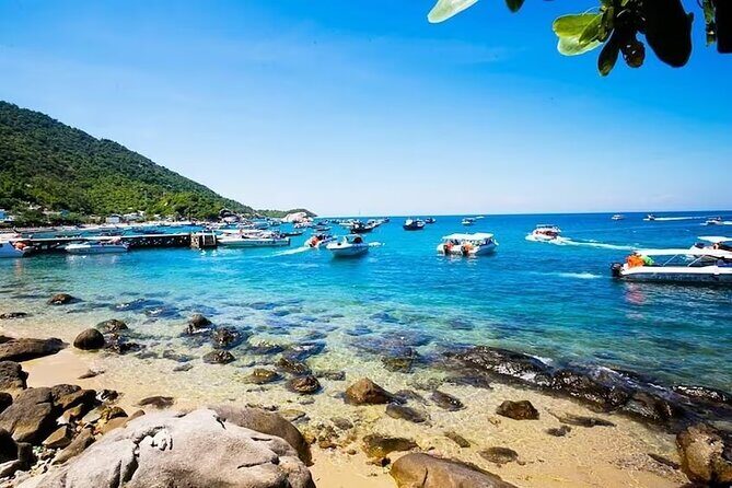 Cham Island Snorkeling,Beach Tour (Hoi An Viet Nam) - Key Points