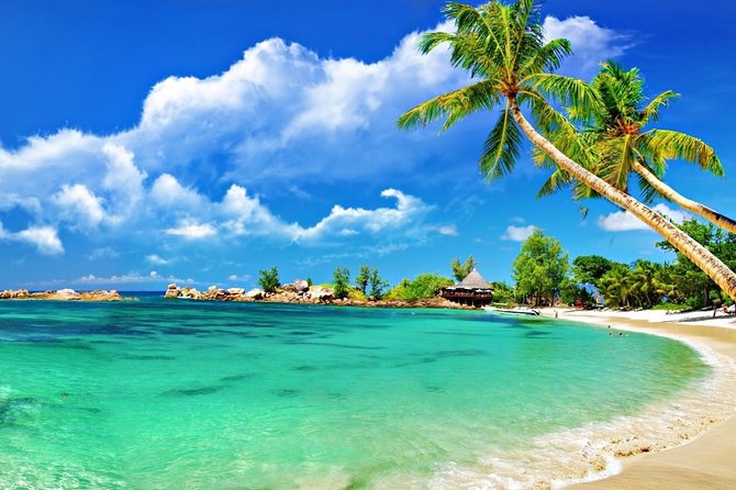 Cham Island Trip by Speed Boat including Snorkeling from Hoi An or Da Nang - Who Is This Tour Best For?