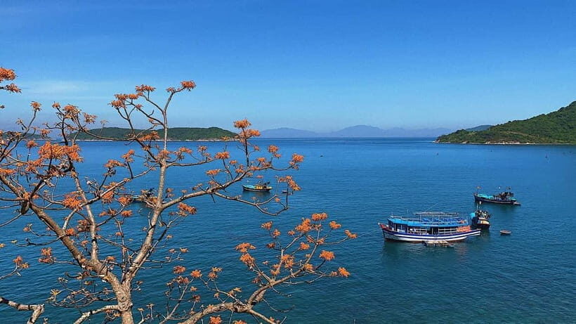 Cham Islands Snorkeling Tour by Speedboat : Hoi An/Da Nang - The Itinerary Breakdown: What You Can Expect