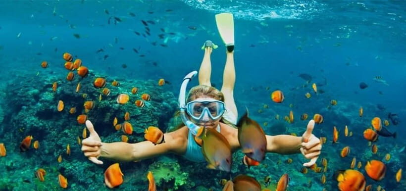 Cham Islands: Speedboat Snorkeling Day Trip from Hoi An - Key Points