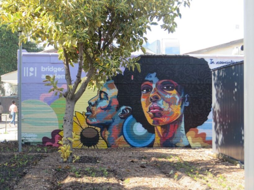Chameleon Tour A Real Township Experience with Local Guides - An In-Depth Look at the Township Tour