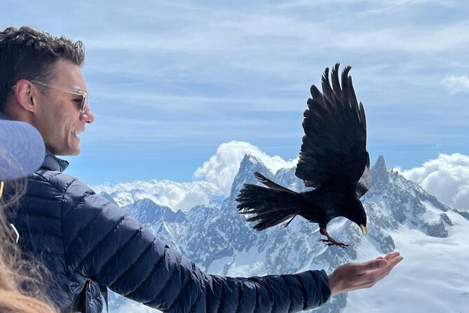 Chamonix Mont-Blanc Full Day Guided Tour - Customer Experiences and Reviews