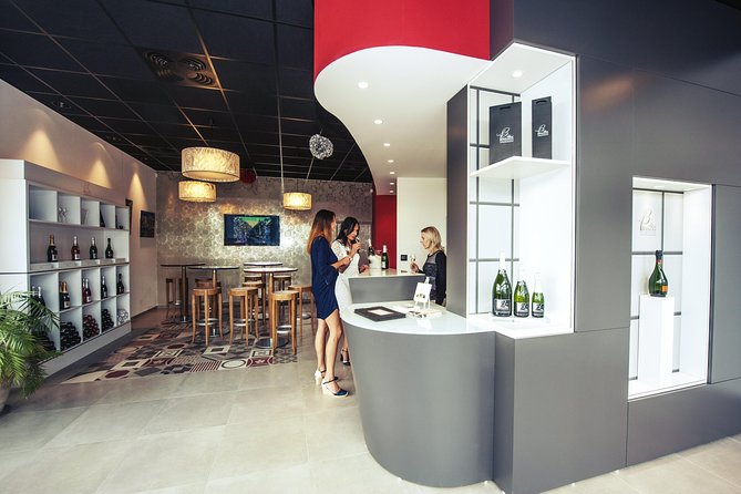 Champagne Albert Beerens Tour & Tasting - Who Will Love This Tour?