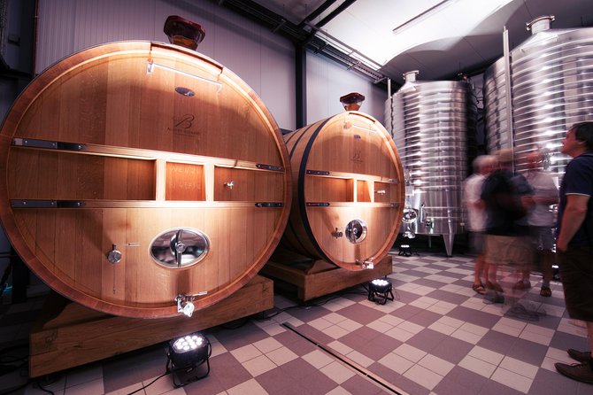 Champagne Albert Beerens Tour & Tasting - What Travelers Are Saying