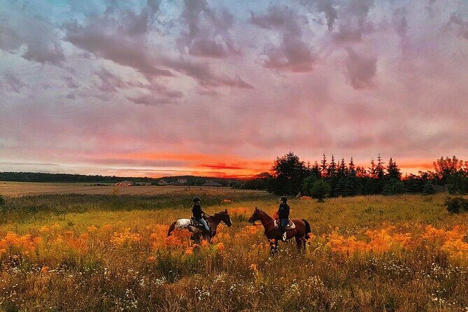 Champagne and Charcuterie Sunset Trail Ride - The After-Ride Experience: Food and Festivities