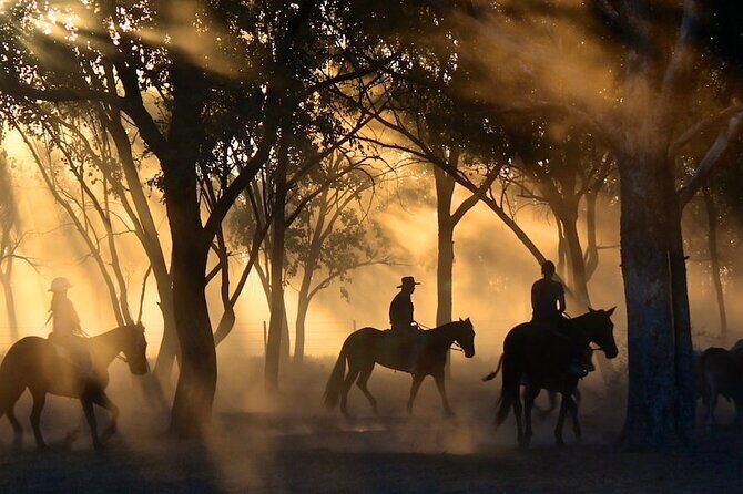 Champagne and Charcuterie Sunset Trail Ride - Practical Details and Considerations