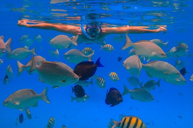 Champagne and Lobster Snorkeling Cruise - Who Should Consider This Tour?